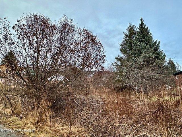 858 Linda Ct, Homer, AK 99603