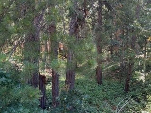 858 Meadow, Arnold, CA 95223