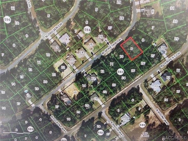 8595 N Spartan Dr, Citrus Springs, FL 34433