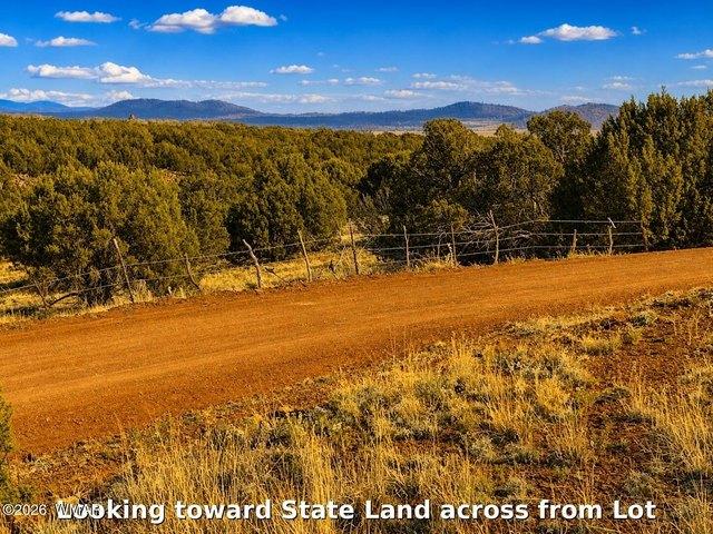 8595 Bobcat Dr, Show Low, AZ 85901