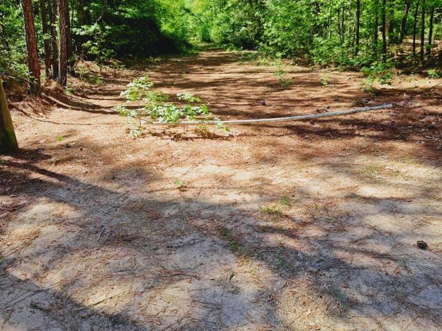 859 Bob White Dr, Vass, NC 28394 | MLS #10161