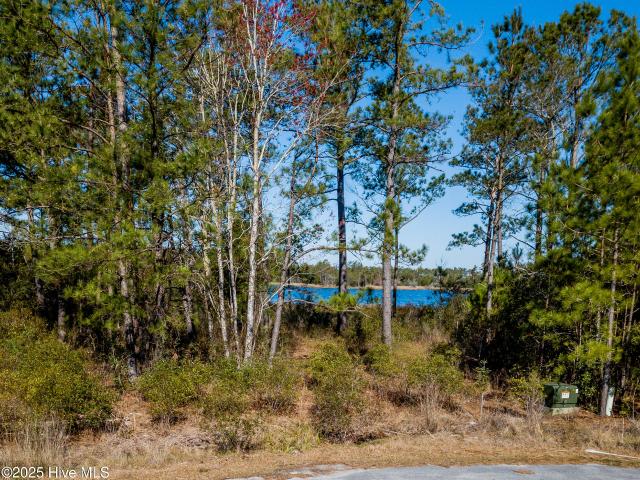 859 Winchester Way, Merritt, NC 28556 | MLS #100513