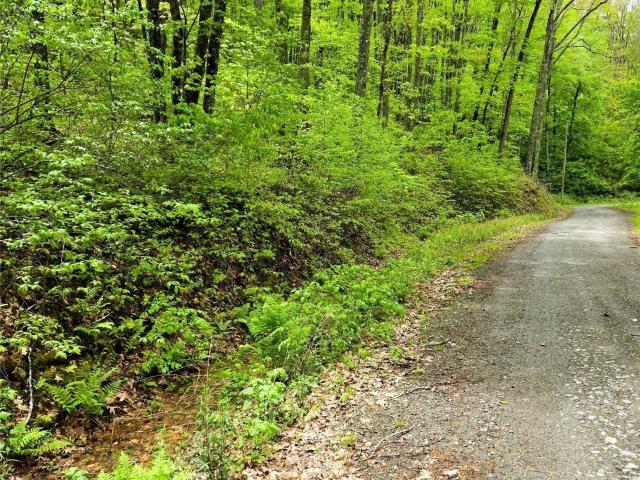 85 Wolf Knob Road