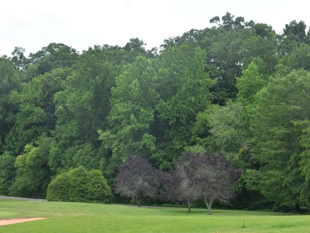 85 A Licklog Ridge, Hayesville, NC 28904 | MLS #326099