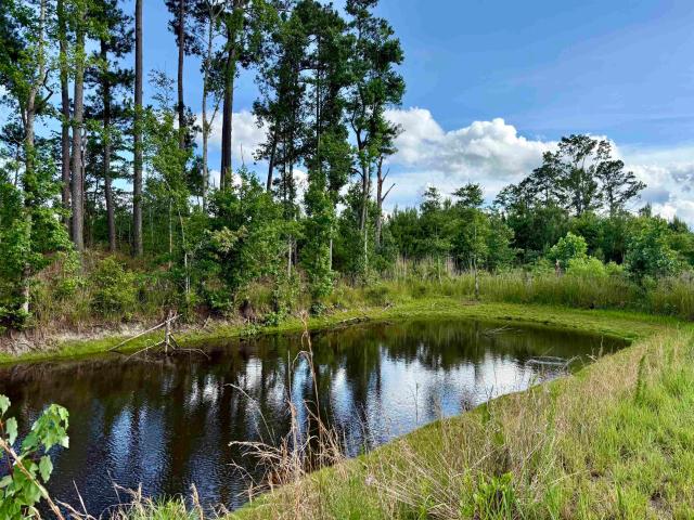 85± Acres Muddy Creek Rd