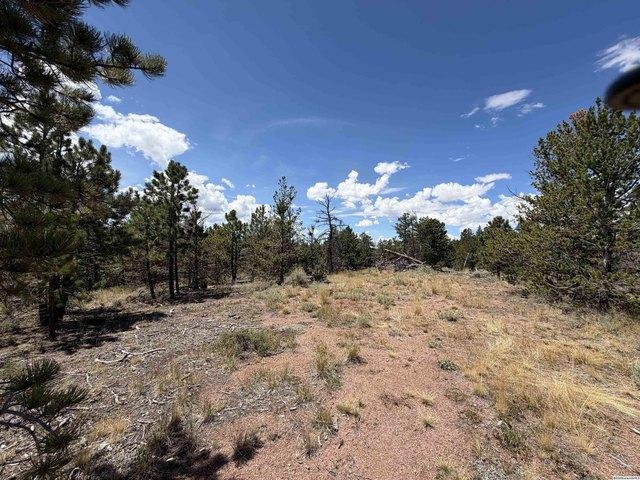 85 Axe Handle Rd, Tie Siding, WY 82084
