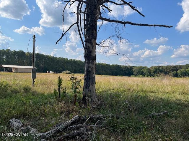 85 Burns Ln, Lavinia, TN 38348 | MLS #2504 | Compass
