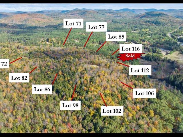 85 Carriage Knoll Rd, Chestertown, NY 12817 | MLS #202427