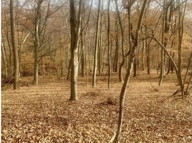 85 Cherryville Hollow Rd, Raritan, NJ 08822