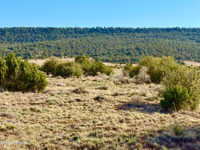 85 Co Road 8500 40 Acres
