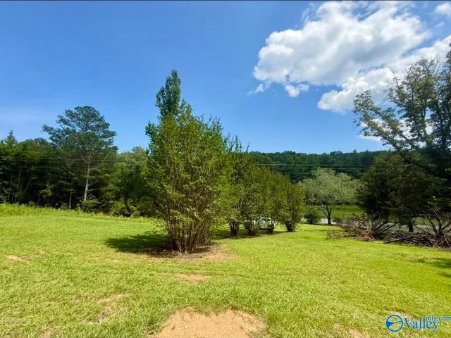 85 County Road 451