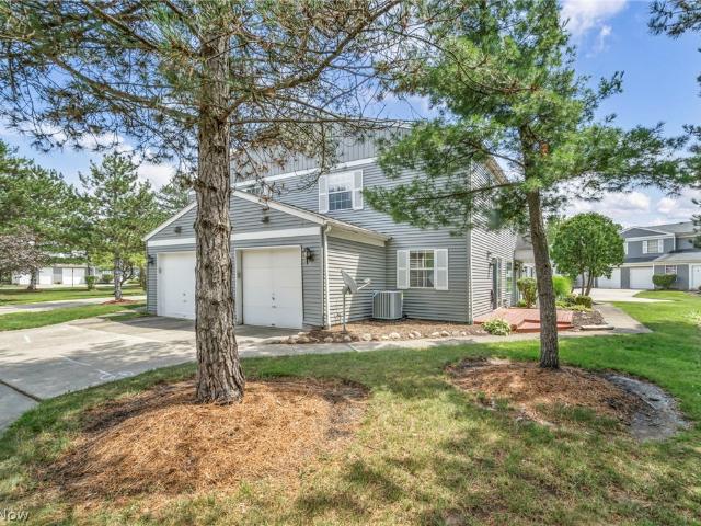 85 Firebush Lane