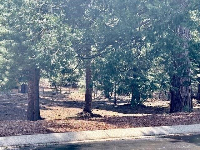 85 Fox Ridge Dr Lot 94, Lake Almanor, CA 96137