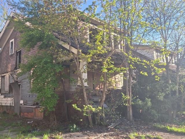 85 geneva street