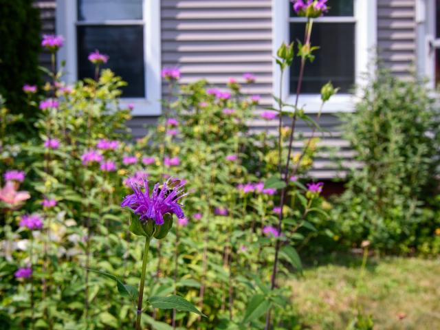 85 Highland Avenue