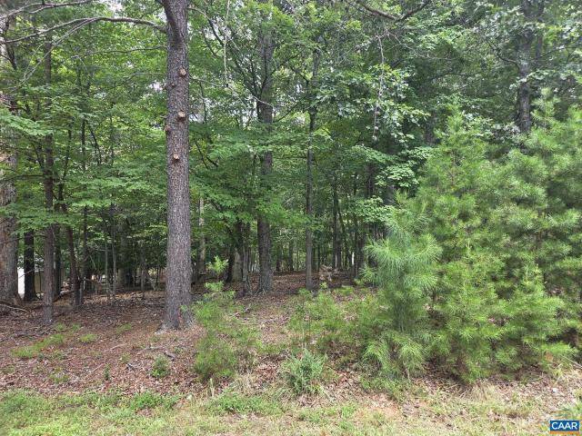 85 Laguna Rd, Palmyra, VA 22963 | MLS #676341 | Compass