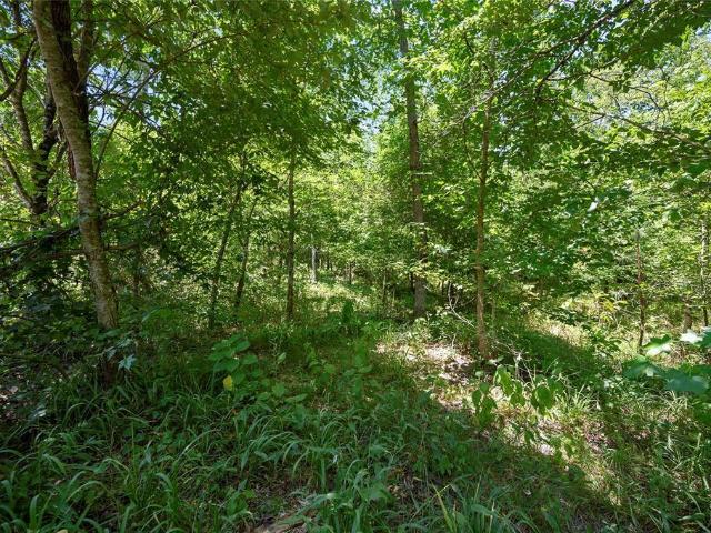 85 Legacy Place Trail