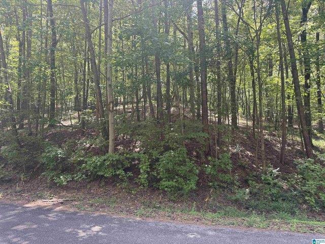 85 Mohawk Ct Lot 22, Ohatchee, AL 36271