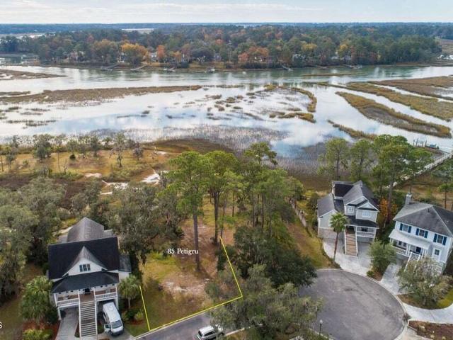 85 Petigru Drive