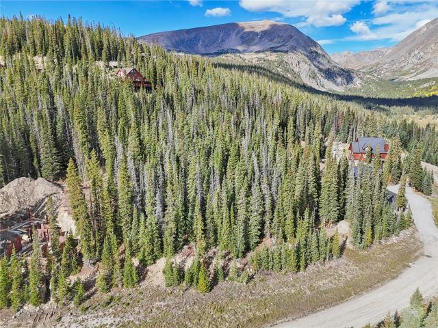 85 Revett Dr, Breckenridge, CO 80424 | MLS #S1062