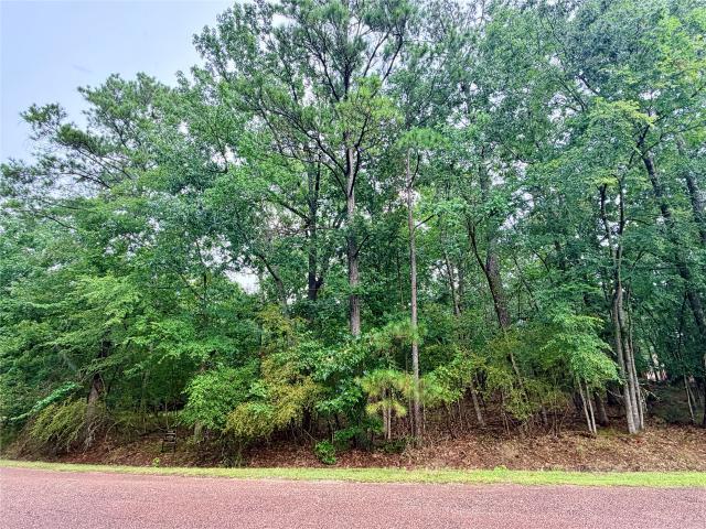 85 S Royale Greens Drive