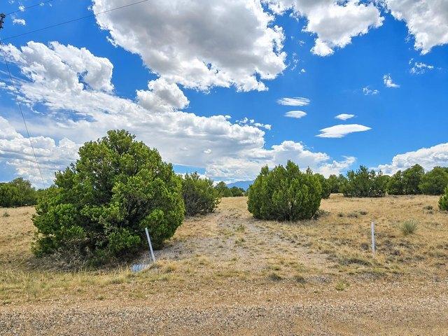 85 Shawnee, Walsenburg, CO 81089