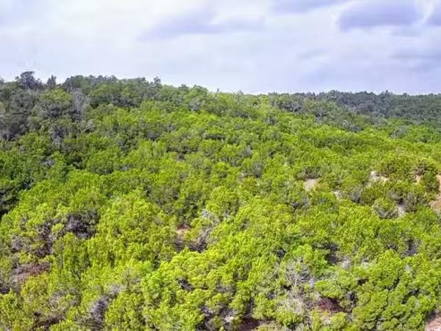 8604 Tegua Cove, Leander, TX 78645 MLS 6130974