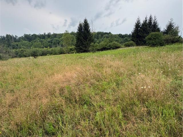 8605 Lot 2 County Route 96