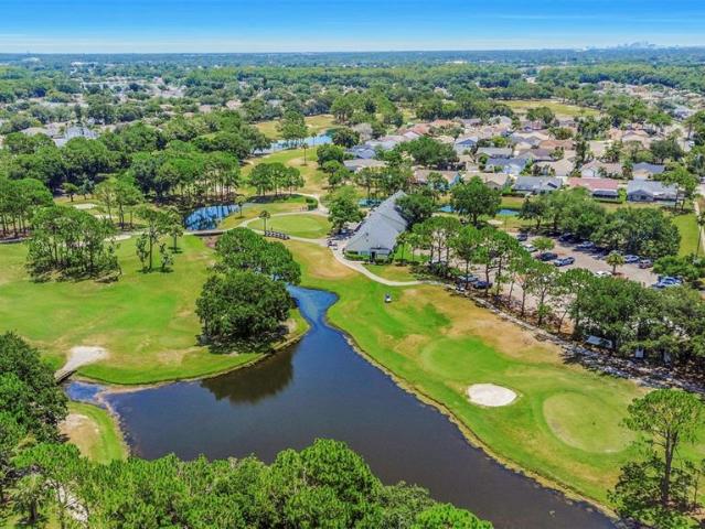 8609 Boysenberry Dr, Tampa, FL 33635 | MLS #TB8494