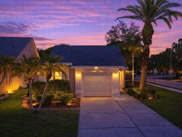 8601 Cottonway Ln, Tampa, FL 33635