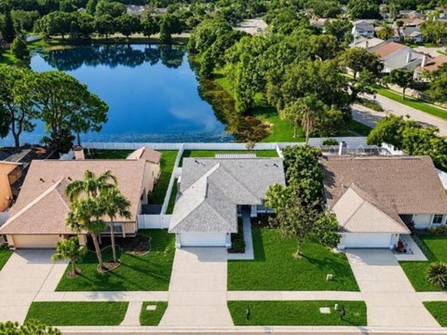 8603 Boysenberry Dr, Tampa, FL 33635