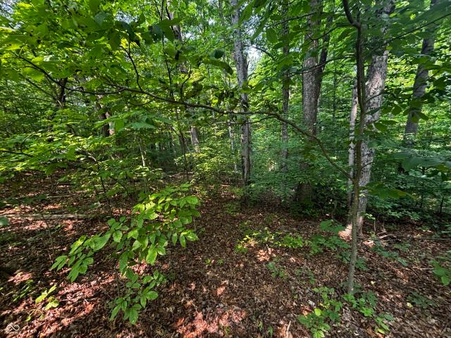 8612 Center Lake Rd, Nineveh, IN 46164 | MLS #22042 | Compass