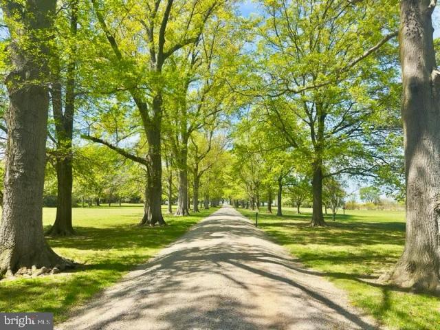 8612 Tilghman Island Road