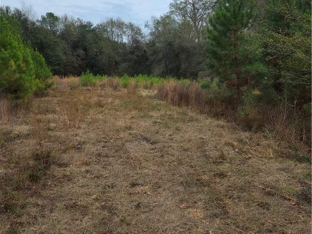 861 Brinson Road
