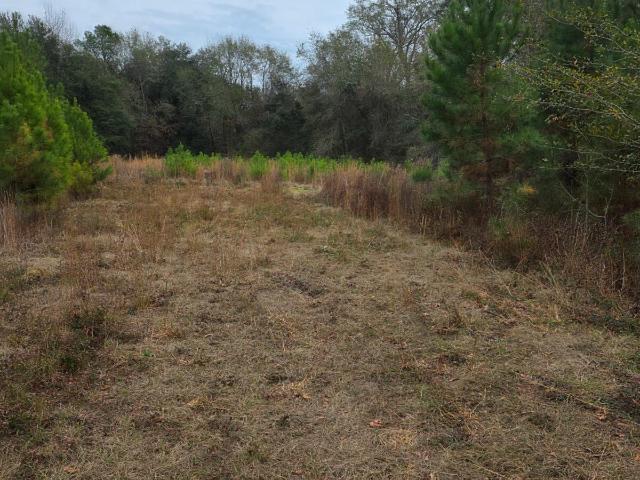 861 Brinson Road