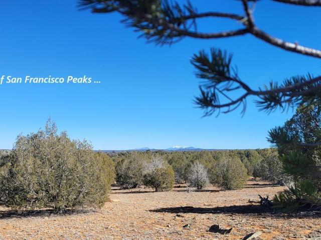861 e2 Cable Rd, Unit 861, Williams, AZ 86046 | MLS #6980 | Compass
