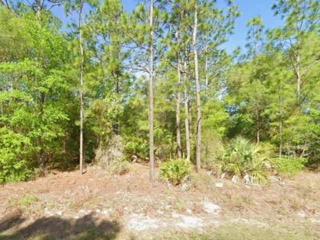 8621 N Blackthorn Ave, Crystal River, FL 34428
