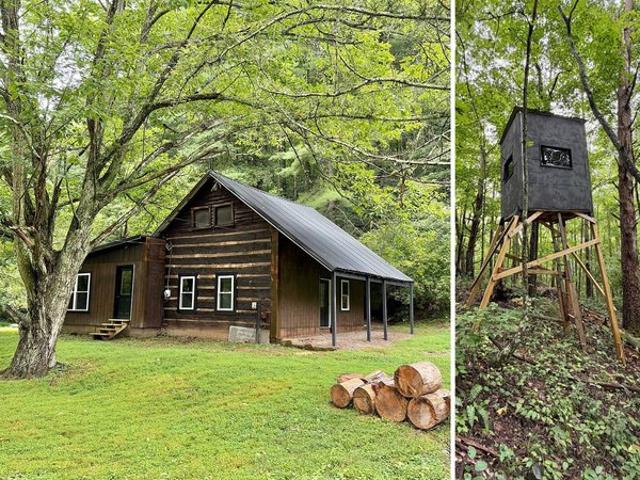 862 Higby Run Rd, Gandeeville, WV 25243