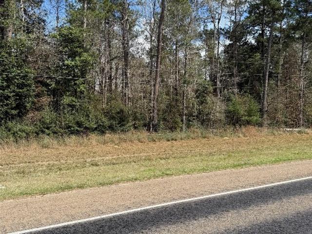 8635 Hwy 190 E