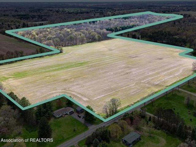8635 W Herbison Rd, Eagle, MI 48822