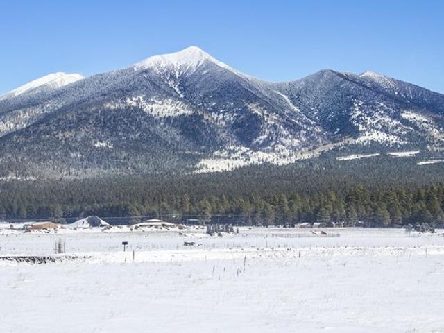 8632 W Roundup Trl, Flagstaff, AZ 86001