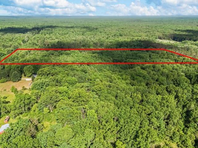 8642 E Kinney Rd, Branch, MI 49402