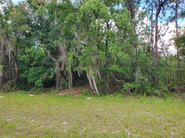 8650 SW 138th Ln, Ocala, FL 34473