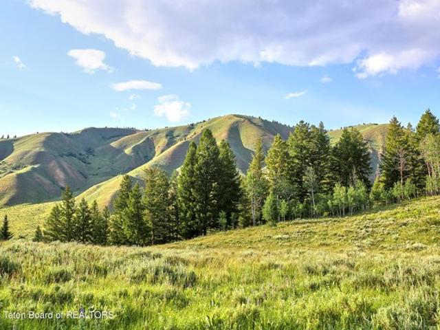 865 W Elk Ridge Rd, Jackson, WY 83001