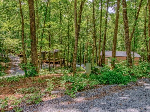 8668 Lakeshore Dr, Rutledge, TN 37861
