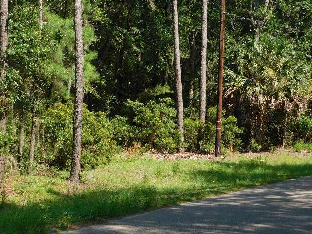 8662 Palmetto Road