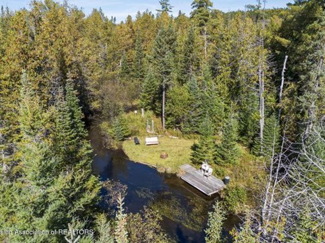 8672 N Manistee River Rd, Gaylord, MI 49735
