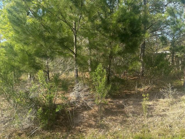 867 County Road 3415