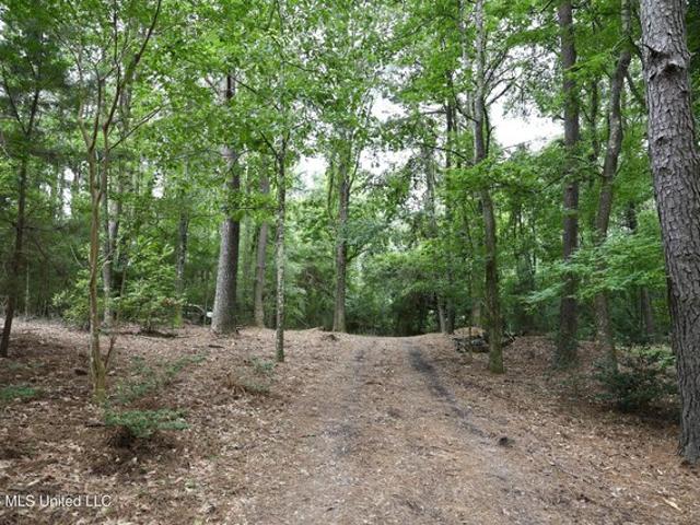 867 Cherryfield Rd, Woodville, MS 39669