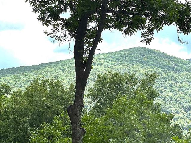 867 Shamokin Springs Trl